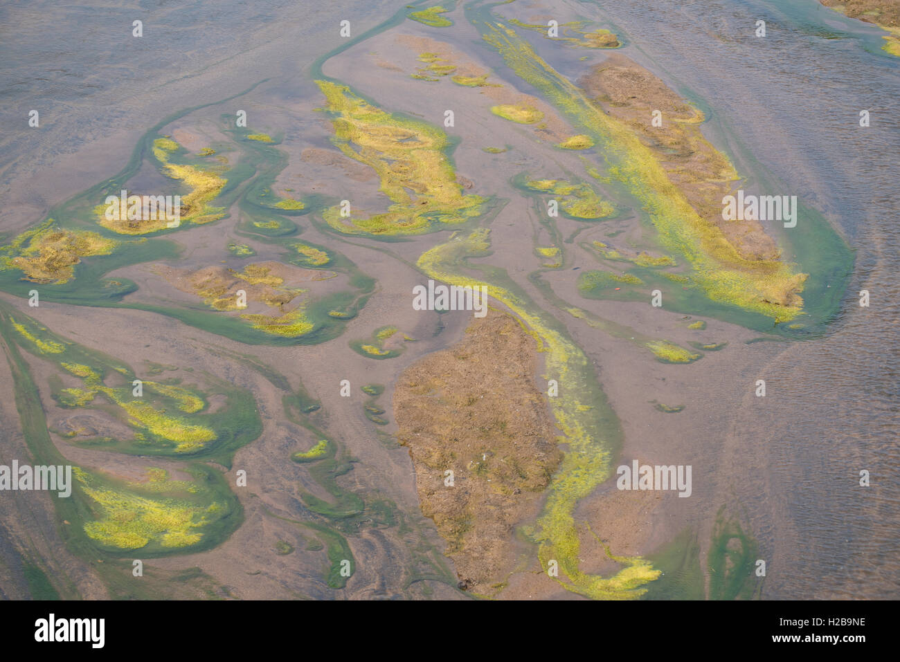 Letaba river hi-res stock photography and images - Alamy