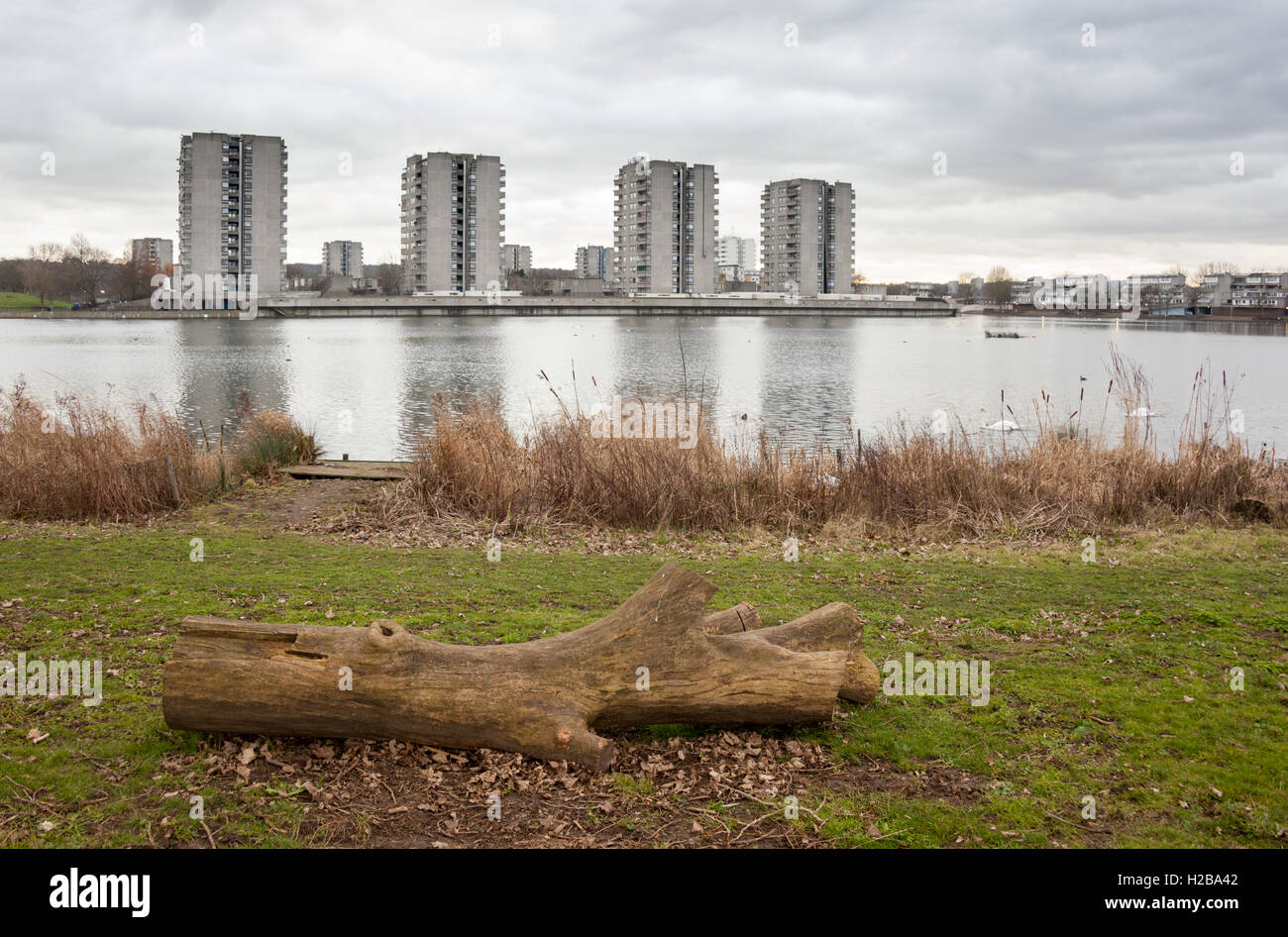 Southmere lake thamesmead hi-res stock photography and images - Alamy