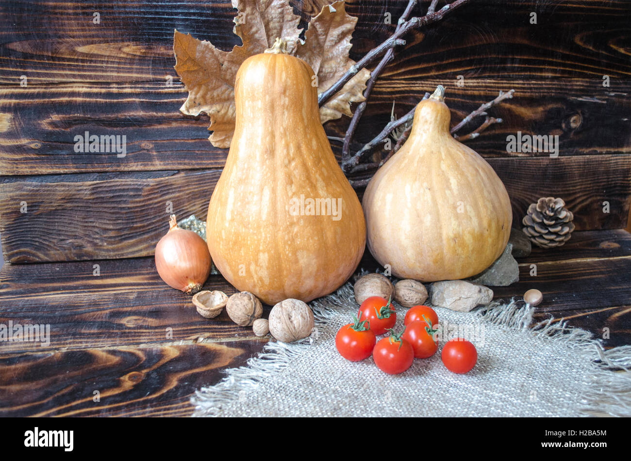 Autumn Vegetables pumpkin, tomatoes and nuts near with the dark boards ...