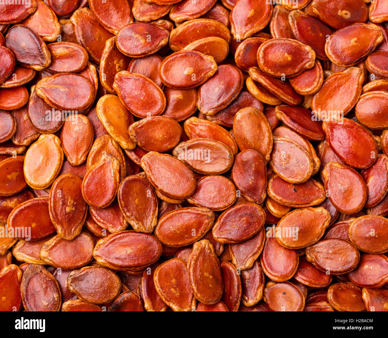 Red watermelon seed background Stock Photo - Alamy