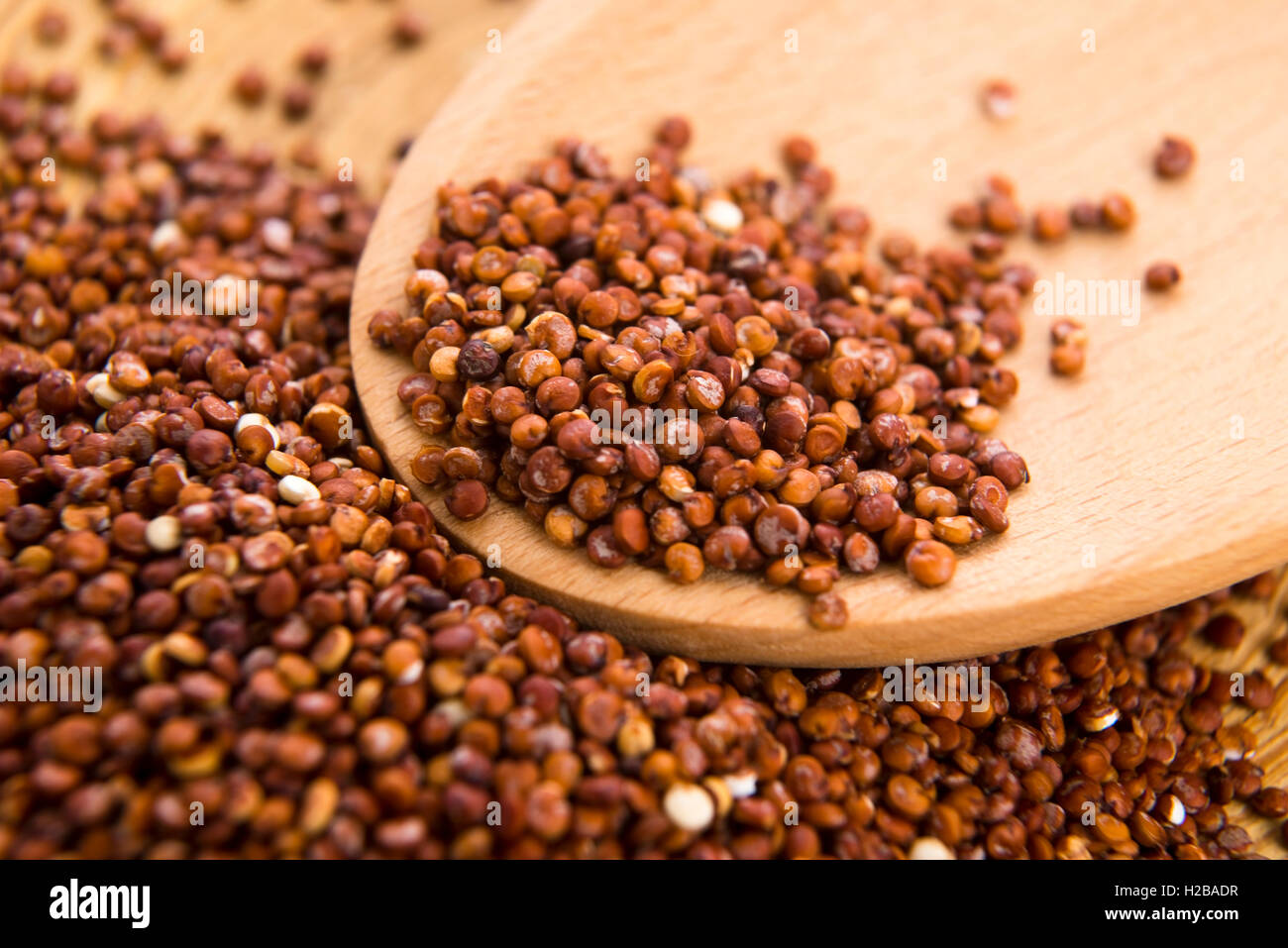 Red Quinoa grain Stock Photo - Alamy