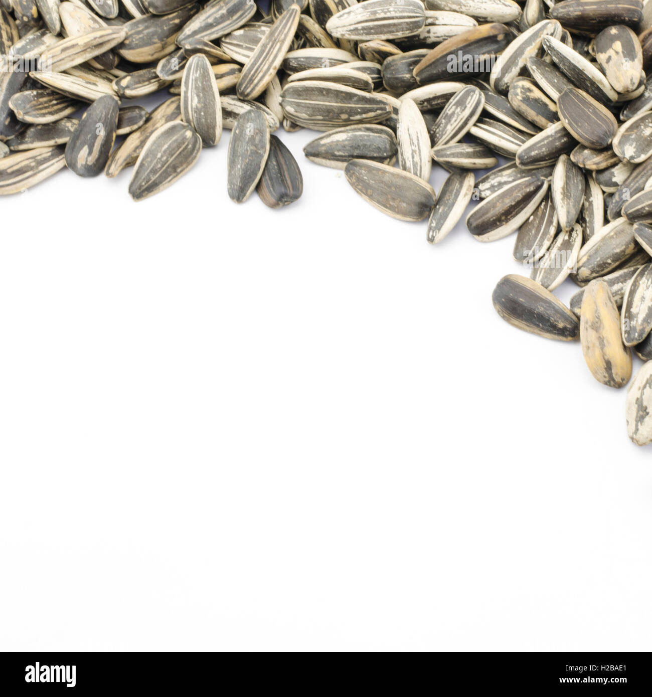 sunflower seeds isolated on white Stock Photo - Alamy
