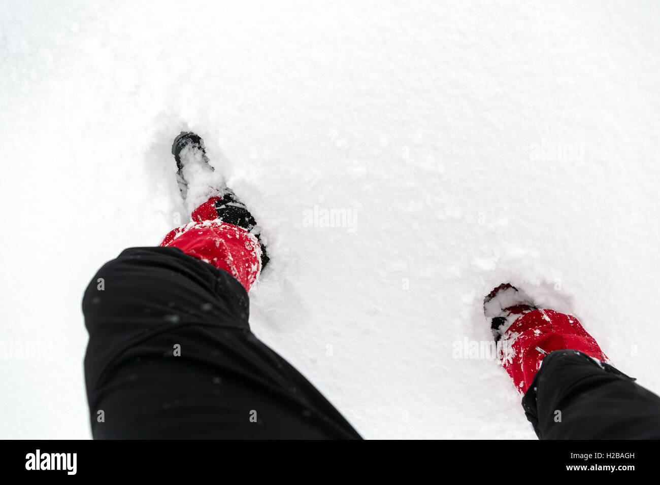 Shoes on snow in white winter forest during hiking. Legs and hiking ...