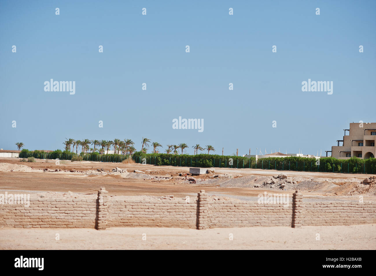 Brick wall at sand background palm on Egypt Stock Photo - Alamy