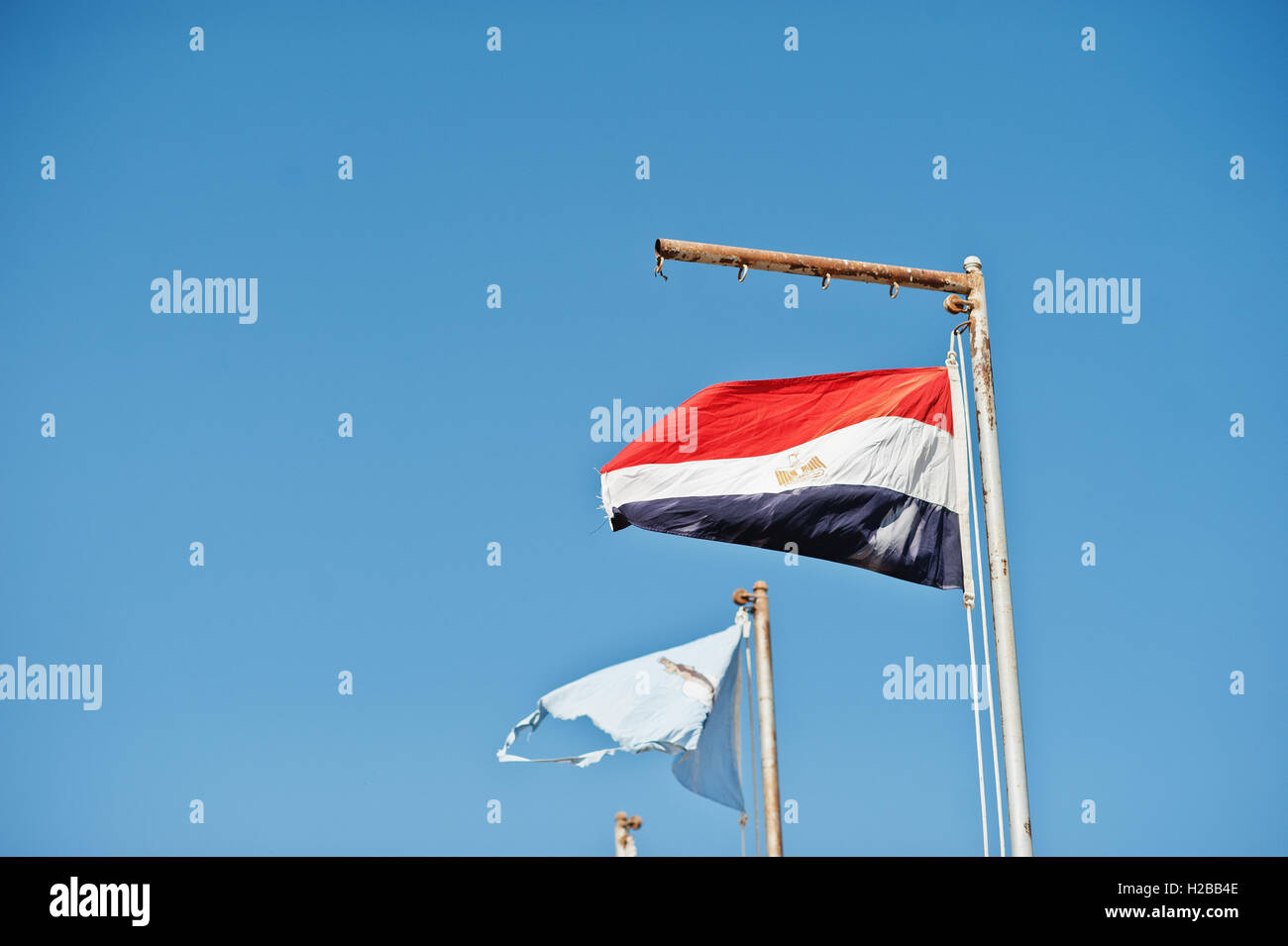 Flag of Egypt floating in the wind background blue sky Stock Photo - Alamy