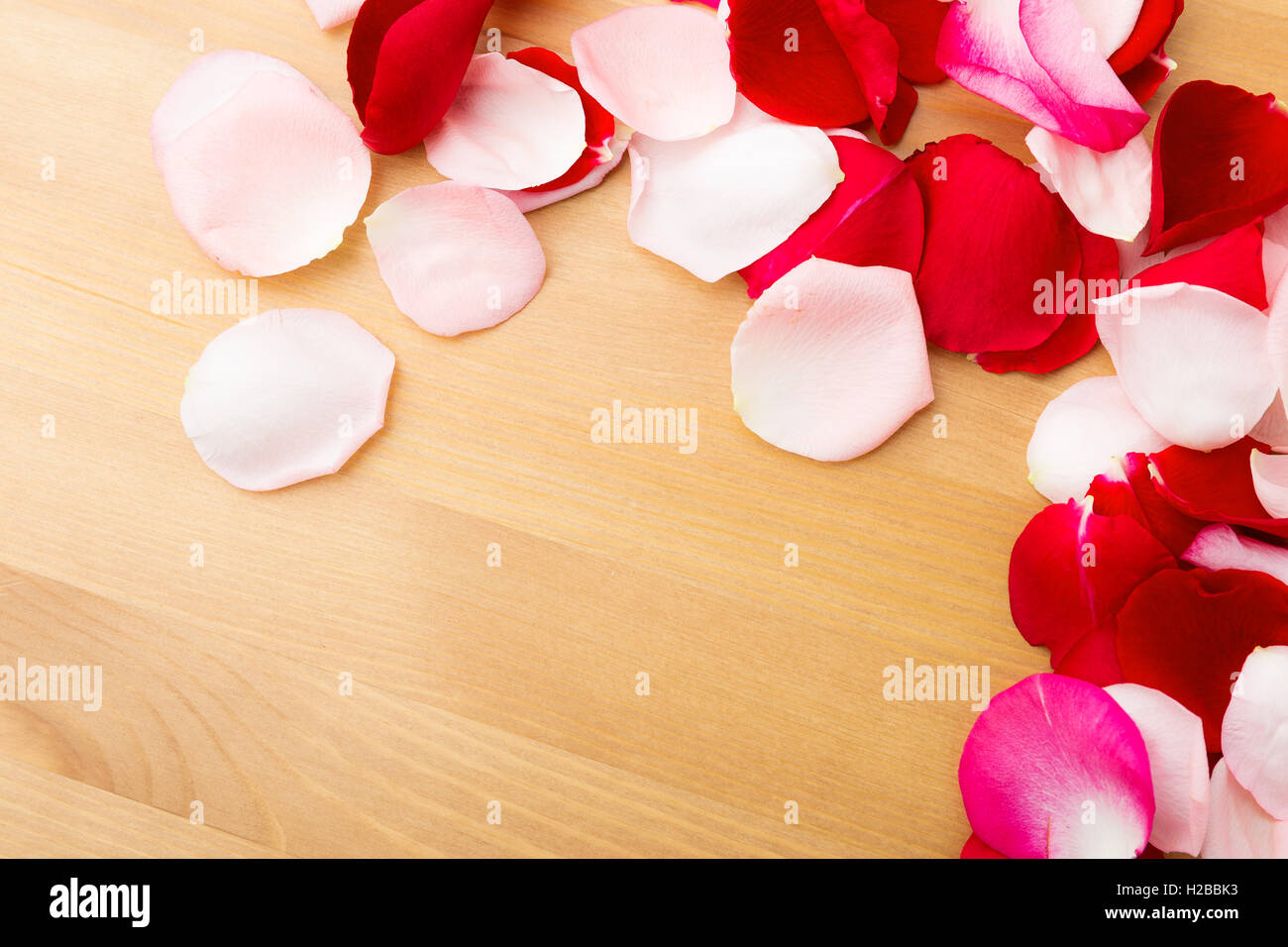 Random rose hi-res stock photography and images - Alamy