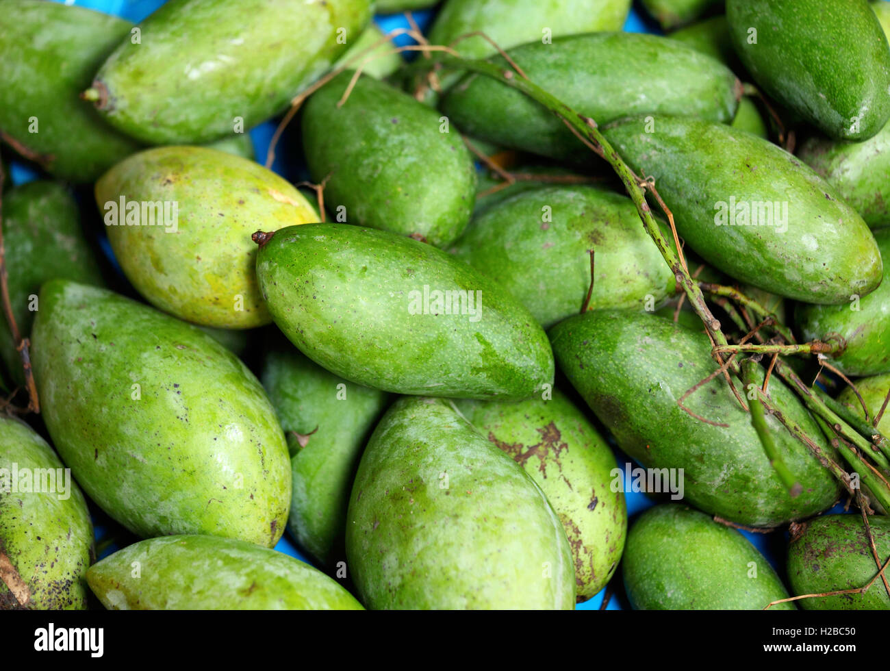 Green mango in street market Stock Photo - Alamy