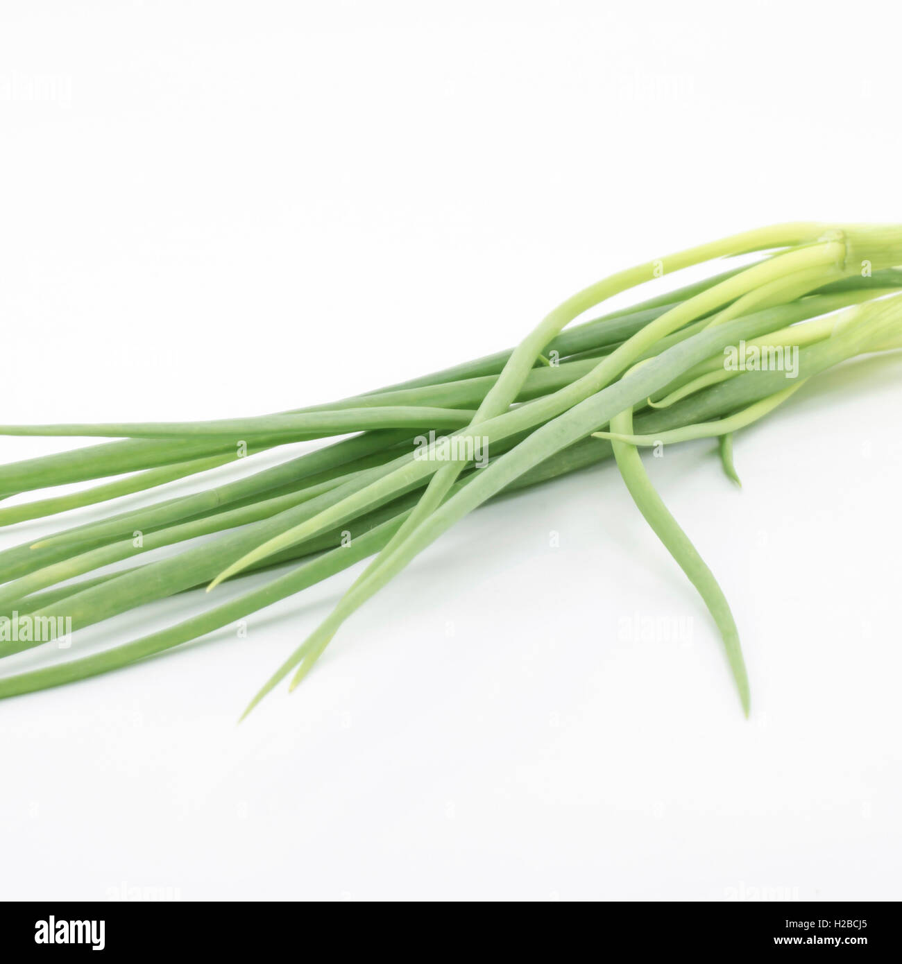 spring onion isolated on white Stock Photo - Alamy