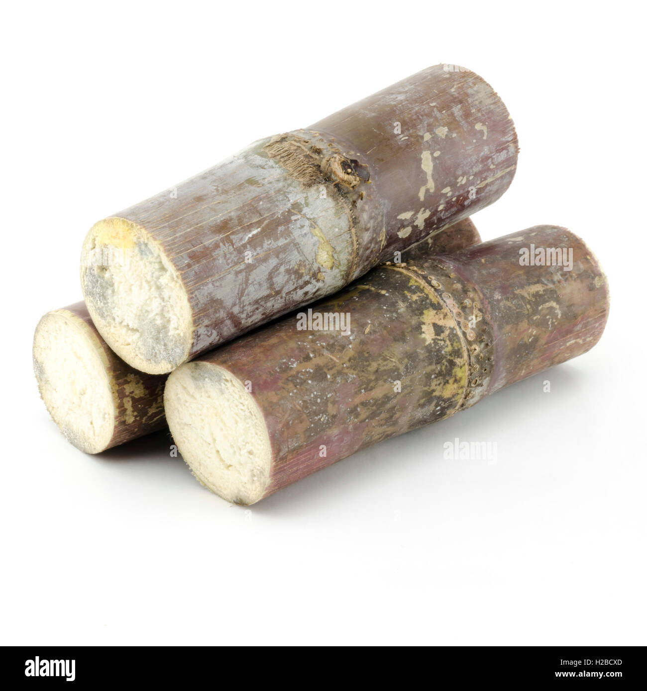 three sugar canes isolated on white Stock Photo - Alamy