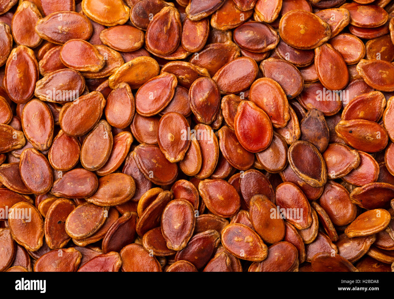 Dried red watermelon seed Stock Photo - Alamy