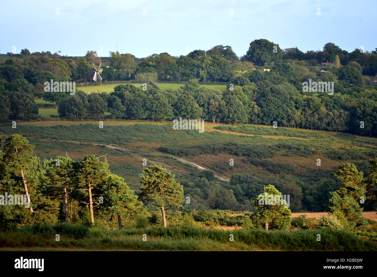 Nutley sussex hi-res stock photography and images - Alamy