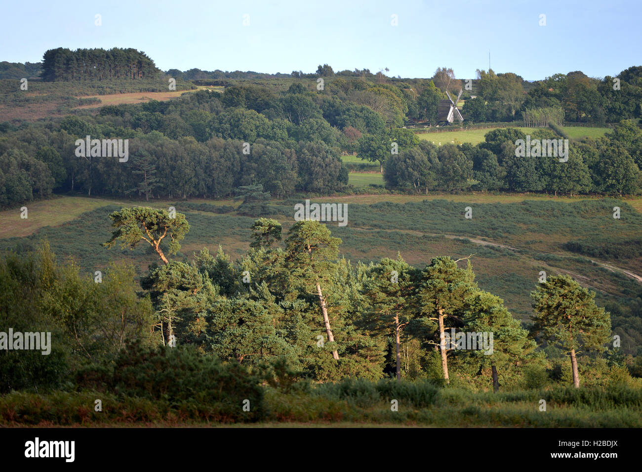 Nutley windmill, east sussex hi-res stock photography and images - Alamy