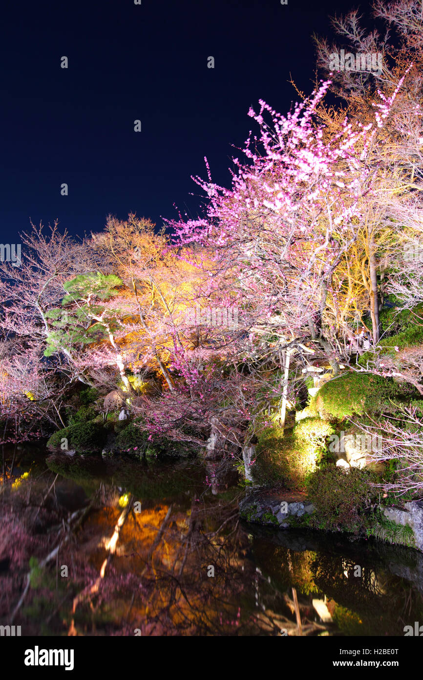 Japanese garden riverside park in hi-res stock photography and images ...