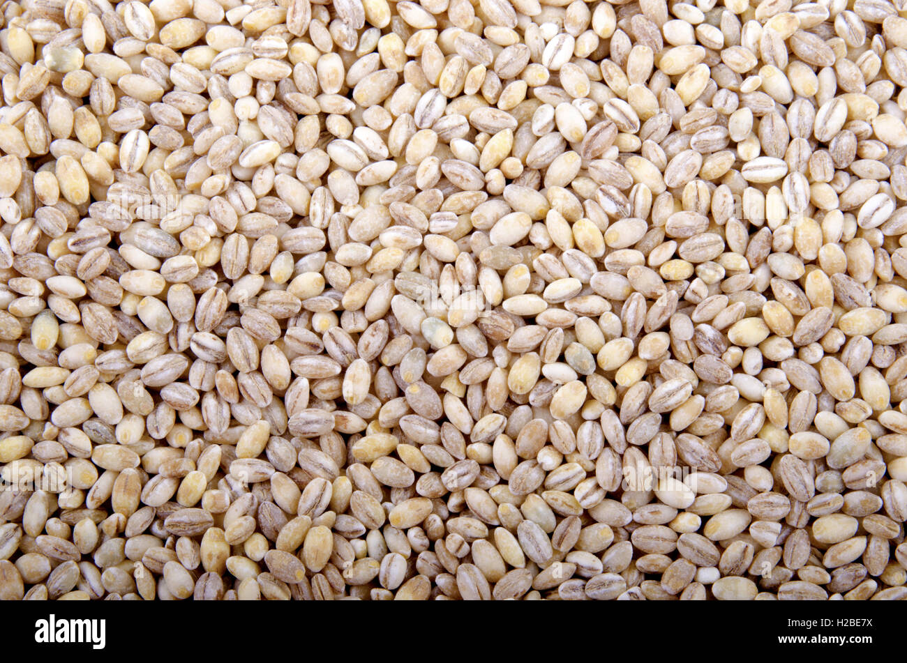 raw organic pearl barley background Stock Photo - Alamy
