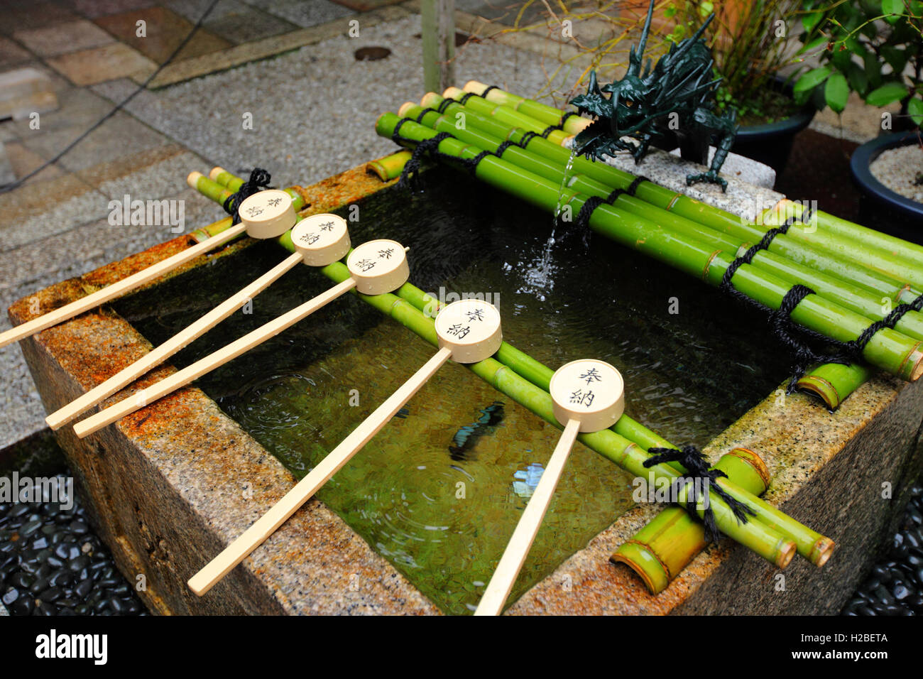 Bamboo ladle hi-res stock photography and images - Alamy