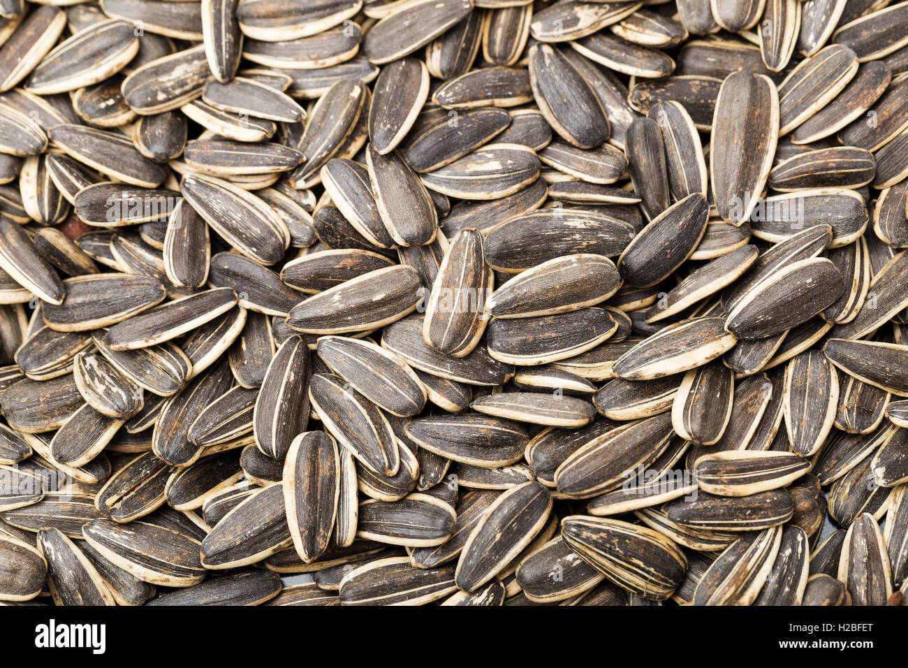 Sunflower seed background Stock Photo - Alamy