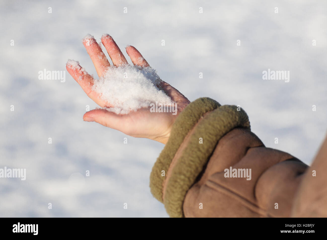 snow in hand Stock Photo - Alamy