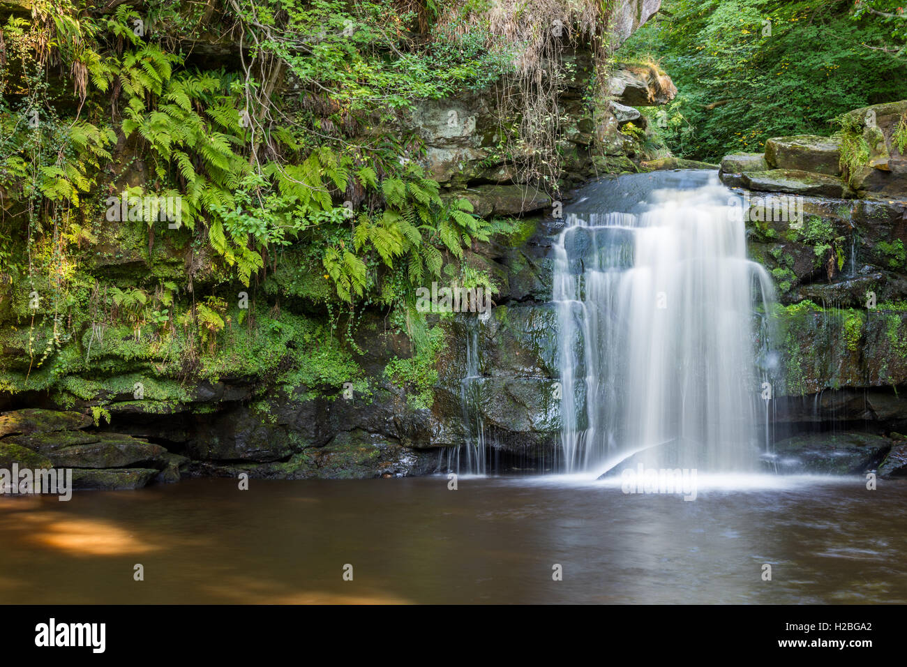 Thomason Foss waterfall in the North Yorkshire Moors Stock Photo - Alamy