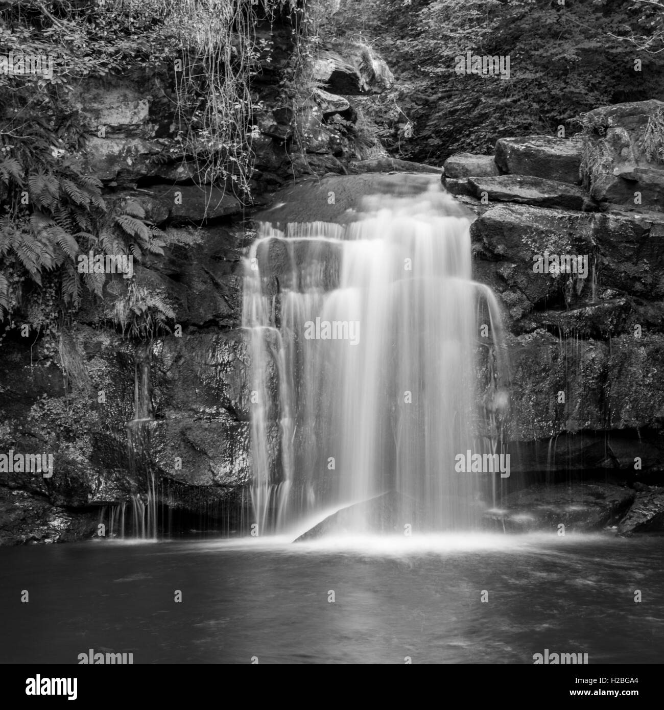 Thomason Foss waterfall in the North Yorkshire Moors Stock Photo - Alamy