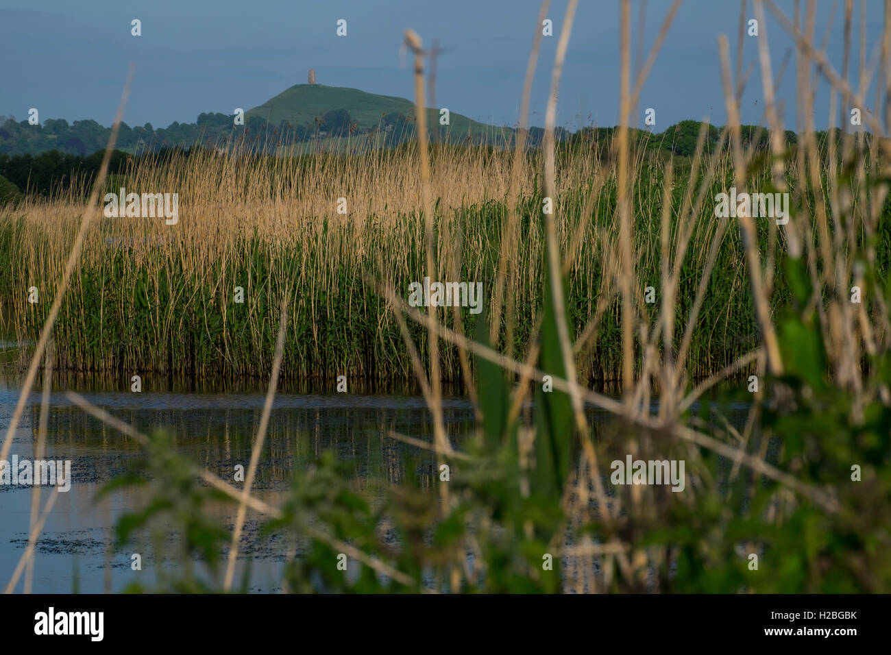 Glastonbury Tor, Shapwick Heath and Ham Wall National Nature Reserves ...