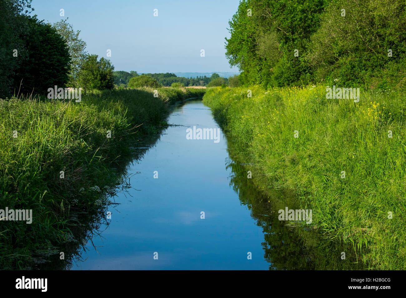Drainage Reen Stock Photos & Drainage Reen Stock Images - Alamy