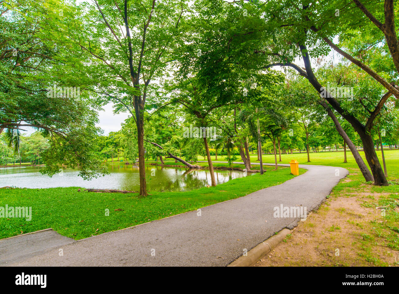 Green lawn with tree in city park, Beautiful park in evening for ...