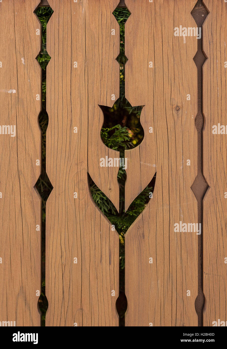 Tulip cutout hi-res stock photography and images - Alamy