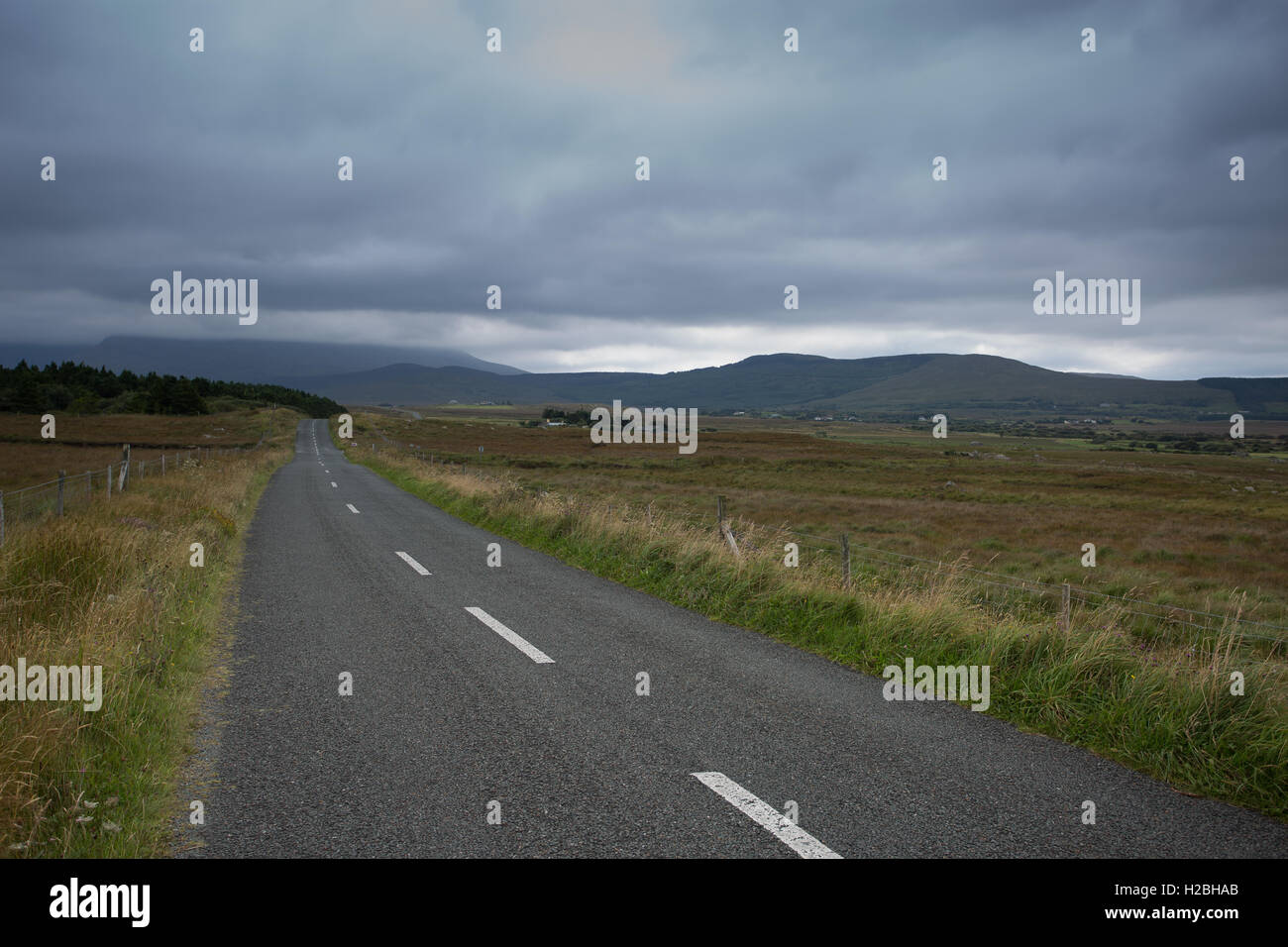 Start Of The Line Stock Photo - Alamy