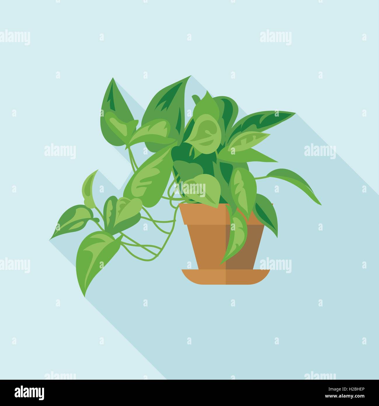 Plante decorative Stock Vector Images - Alamy
