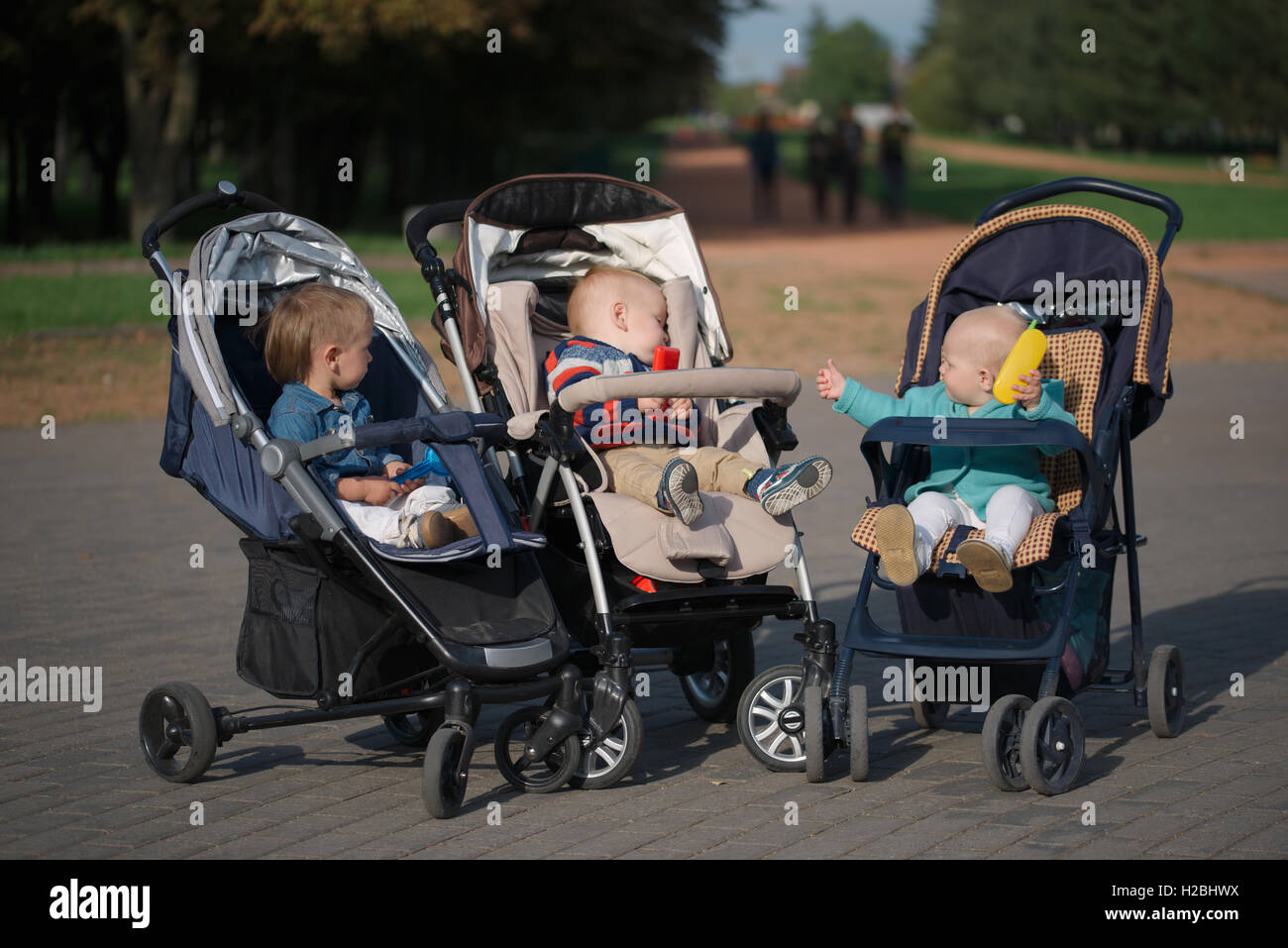 funny children sitting in strollers in park Stock Photo - Alamy