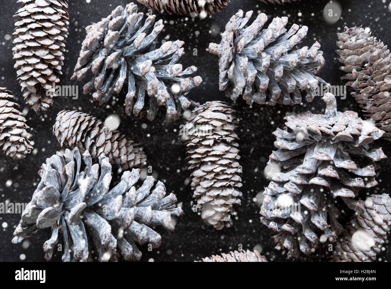 Cone texture hi-res stock photography and images - Alamy