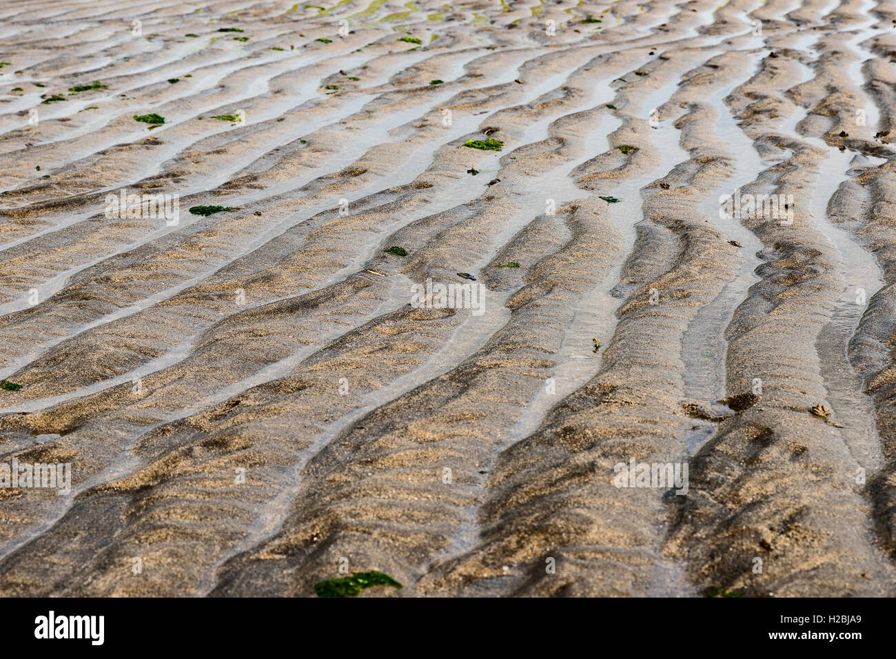 Par Sands Cornwall. A more idyllic stretch of beach can be seen ...