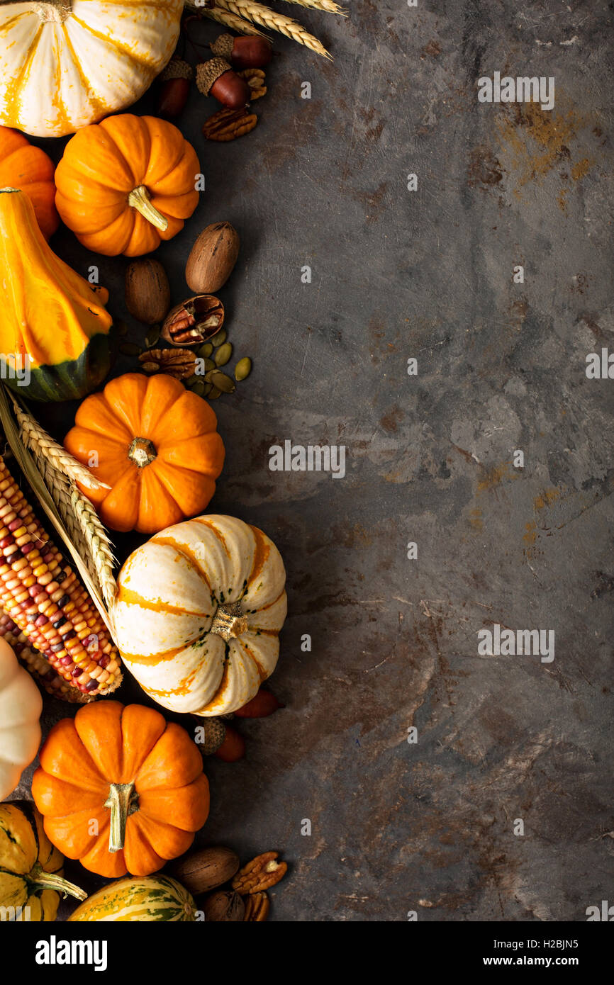 Fall background with pumpkins Stock Photo - Alamy