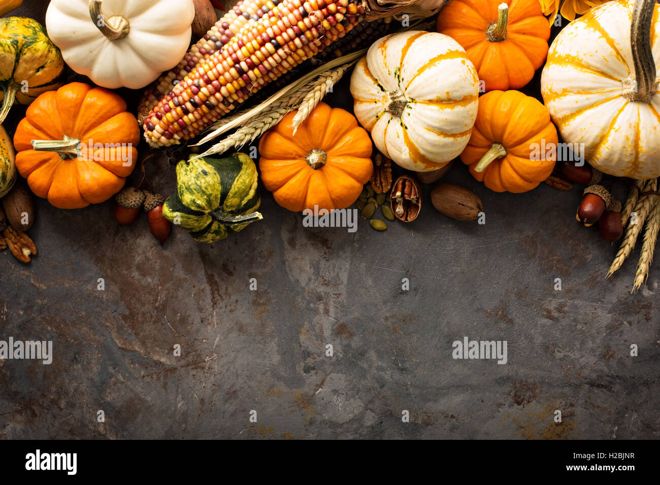 Fall background with pumpkins Stock Photo - Alamy