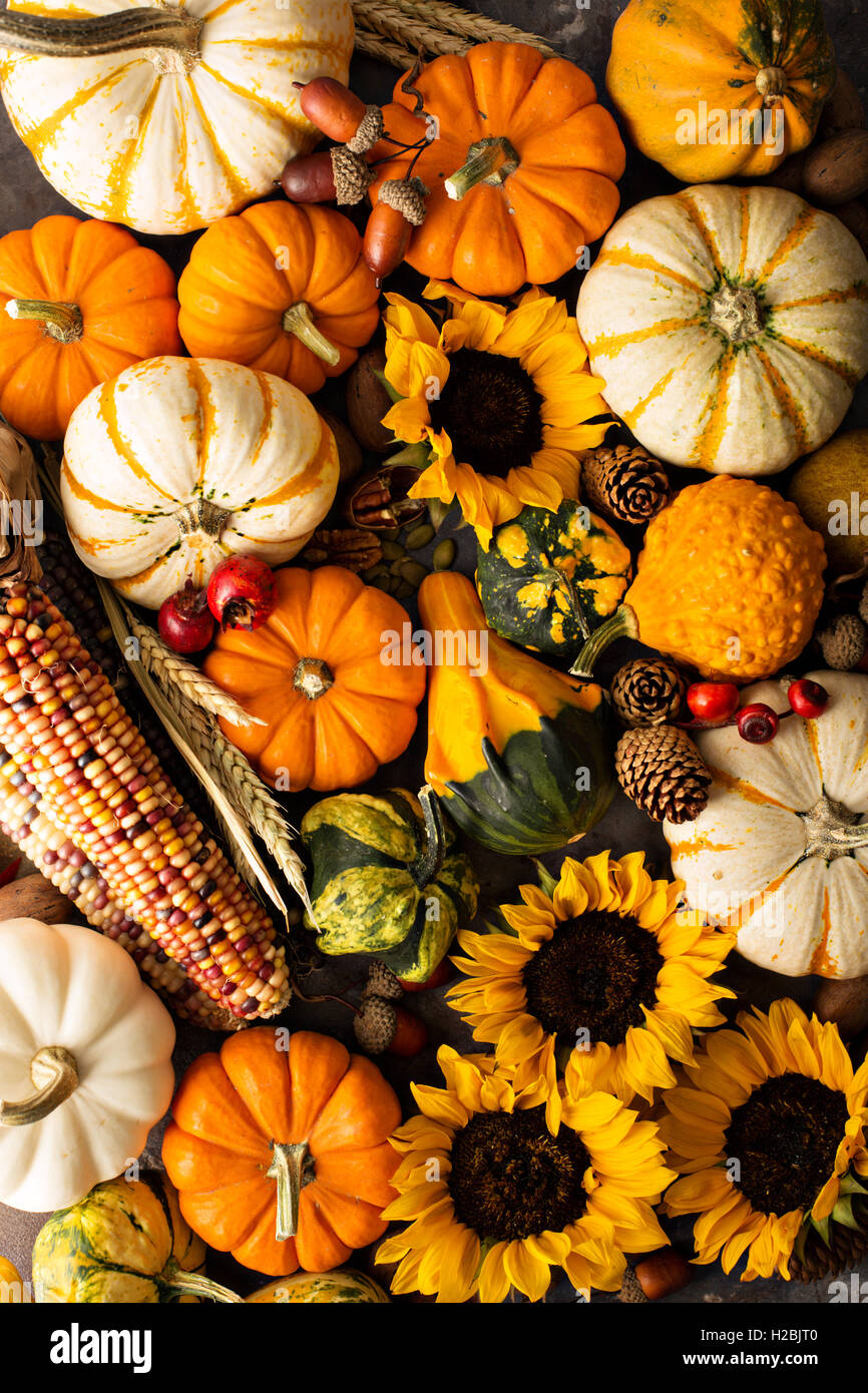 Fall background with pumpkins Stock Photo - Alamy