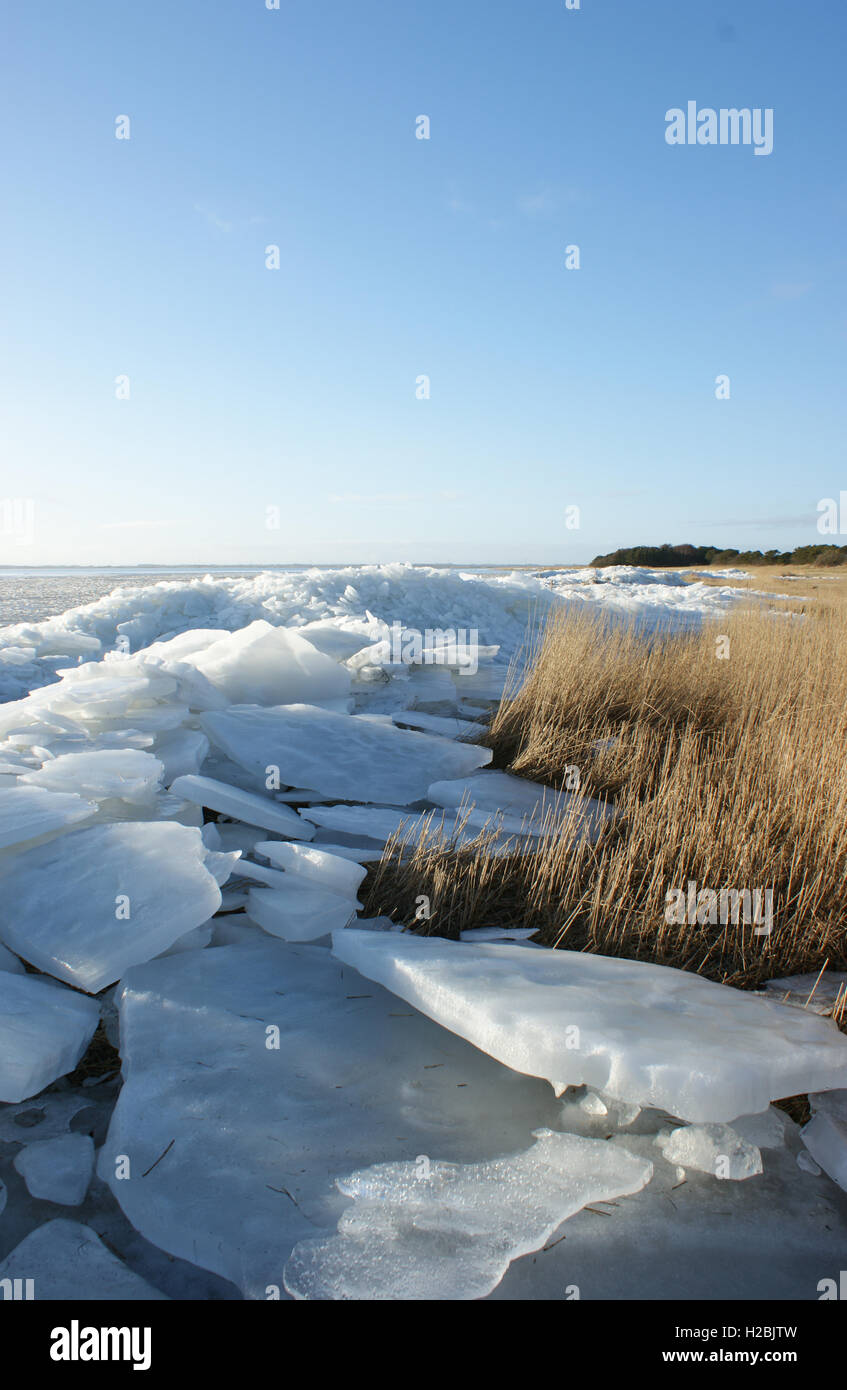 Pack ice next to a meadow in Jutland, Denmark Stock Photo - Alamy
