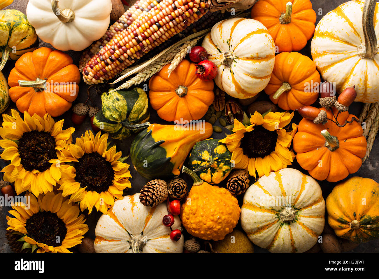 Fall background with pumpkins Stock Photo - Alamy