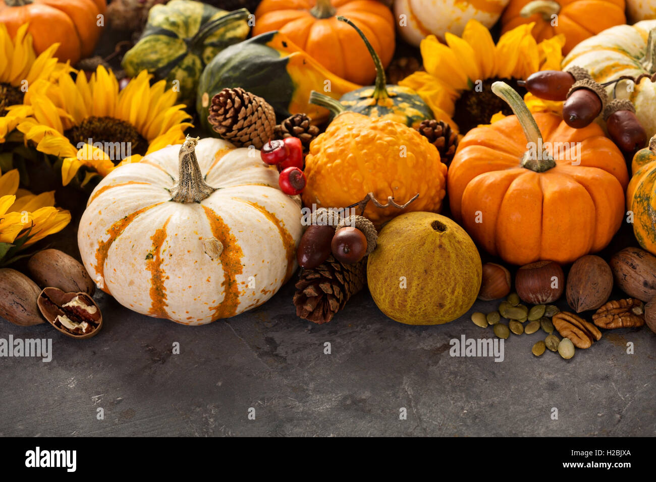 Fall background with pumpkins Stock Photo - Alamy