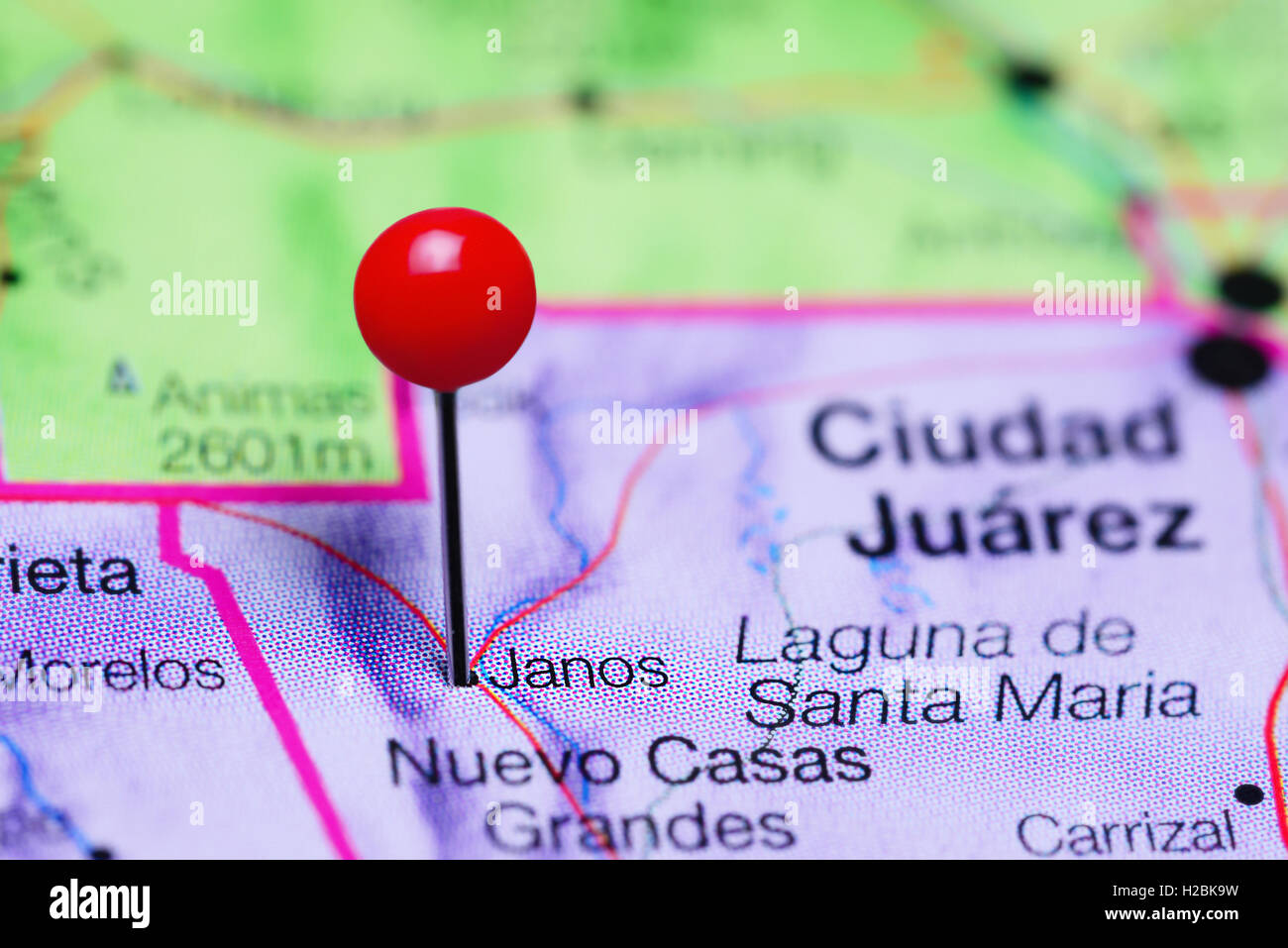 Janos hi-res stock photography and images - Alamy