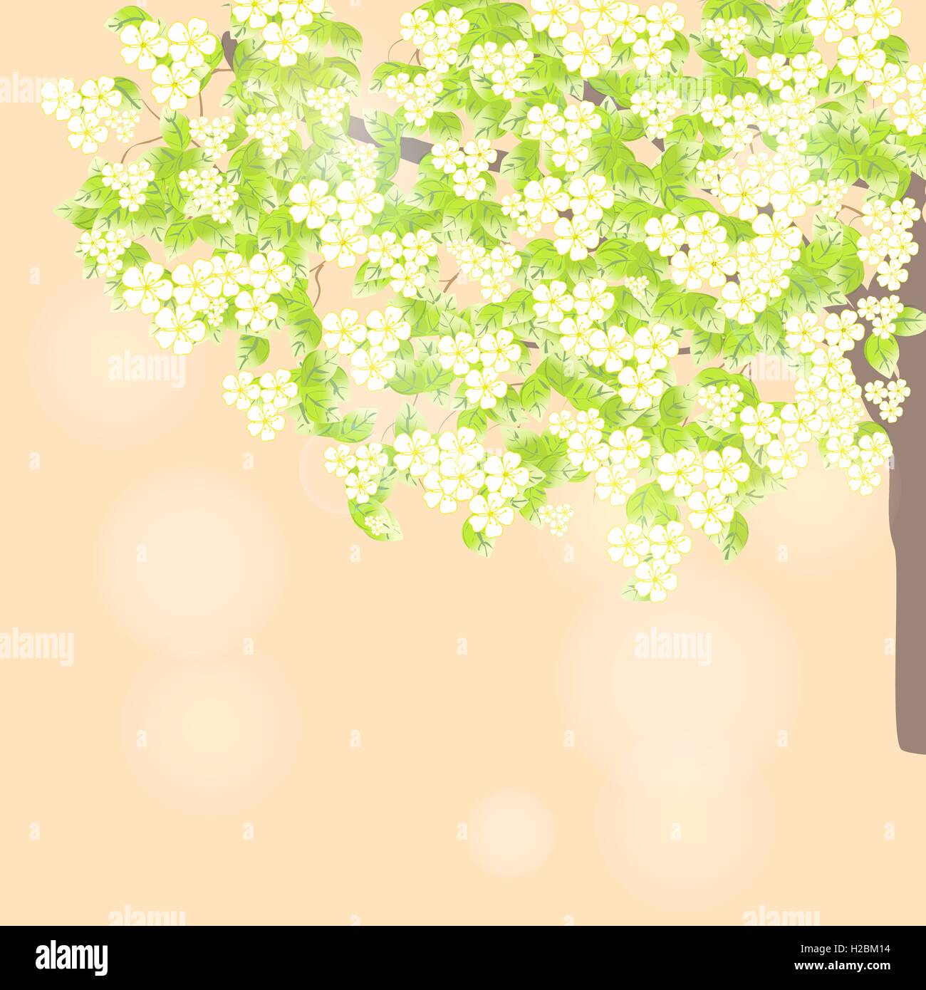 Spring leaves light background Stock Vector Image & Art - Alamy