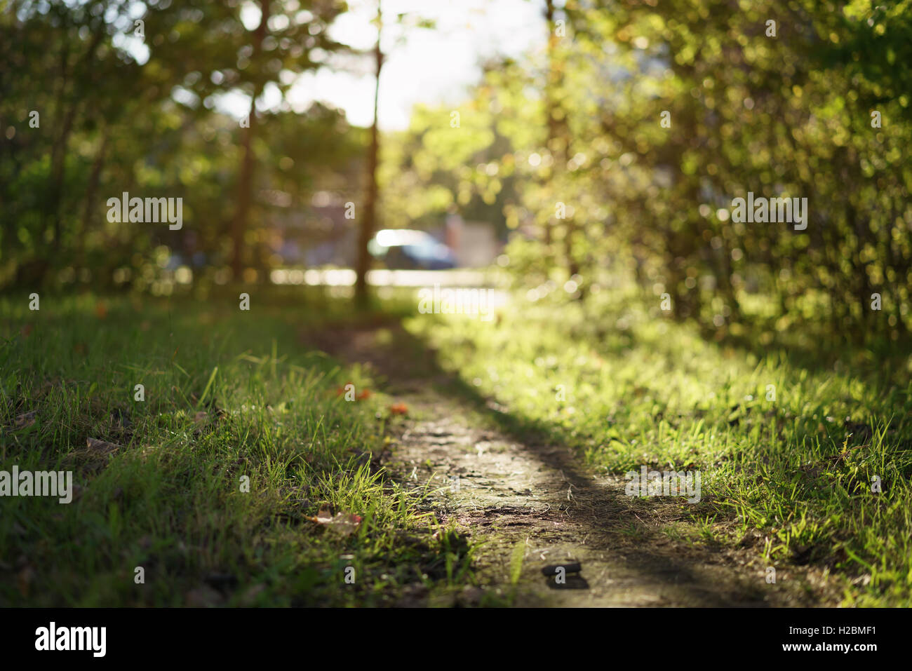 Ground level closeup hi-res stock photography and images - Alamy