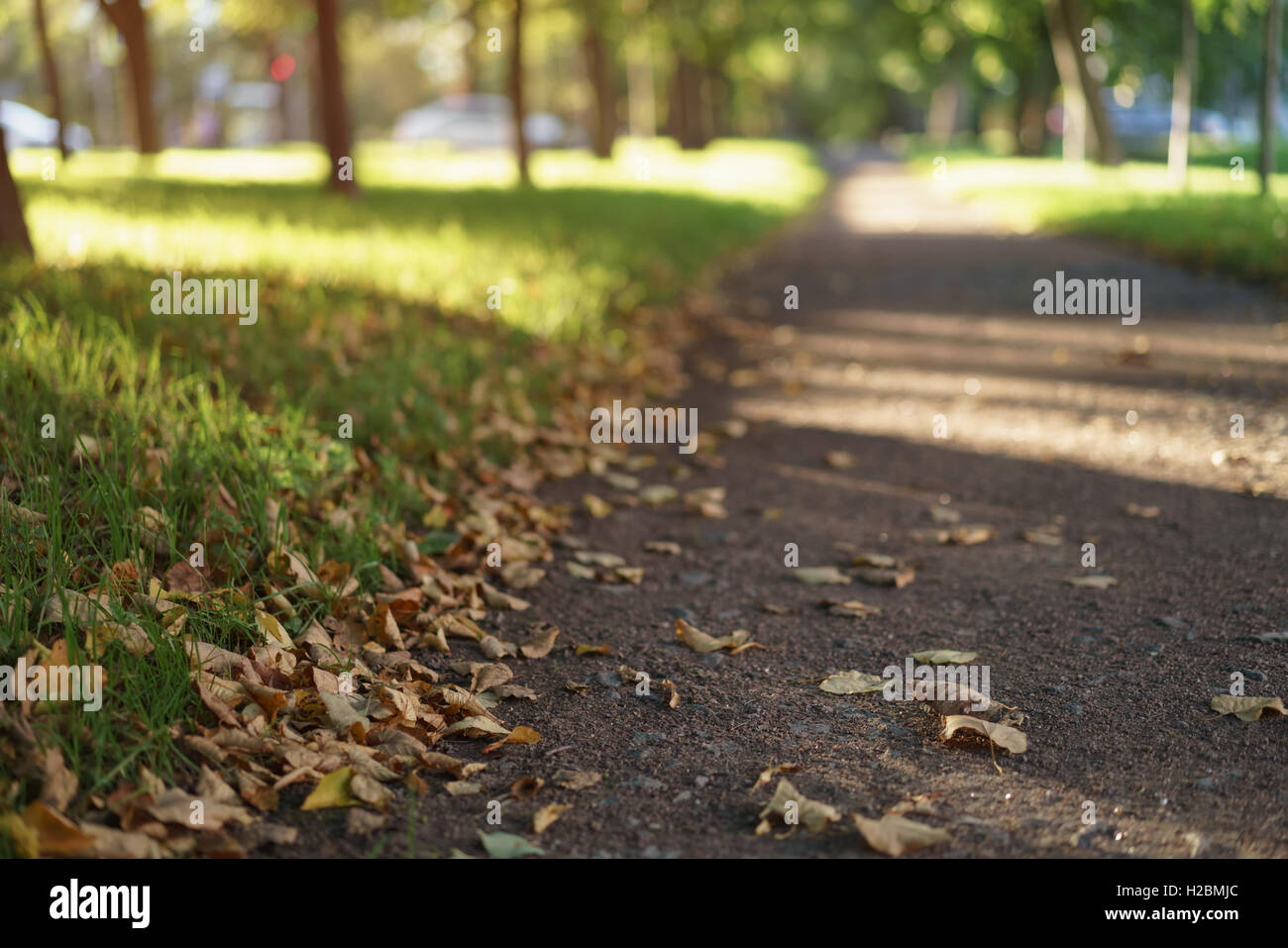 Ground level closeup hi-res stock photography and images - Alamy