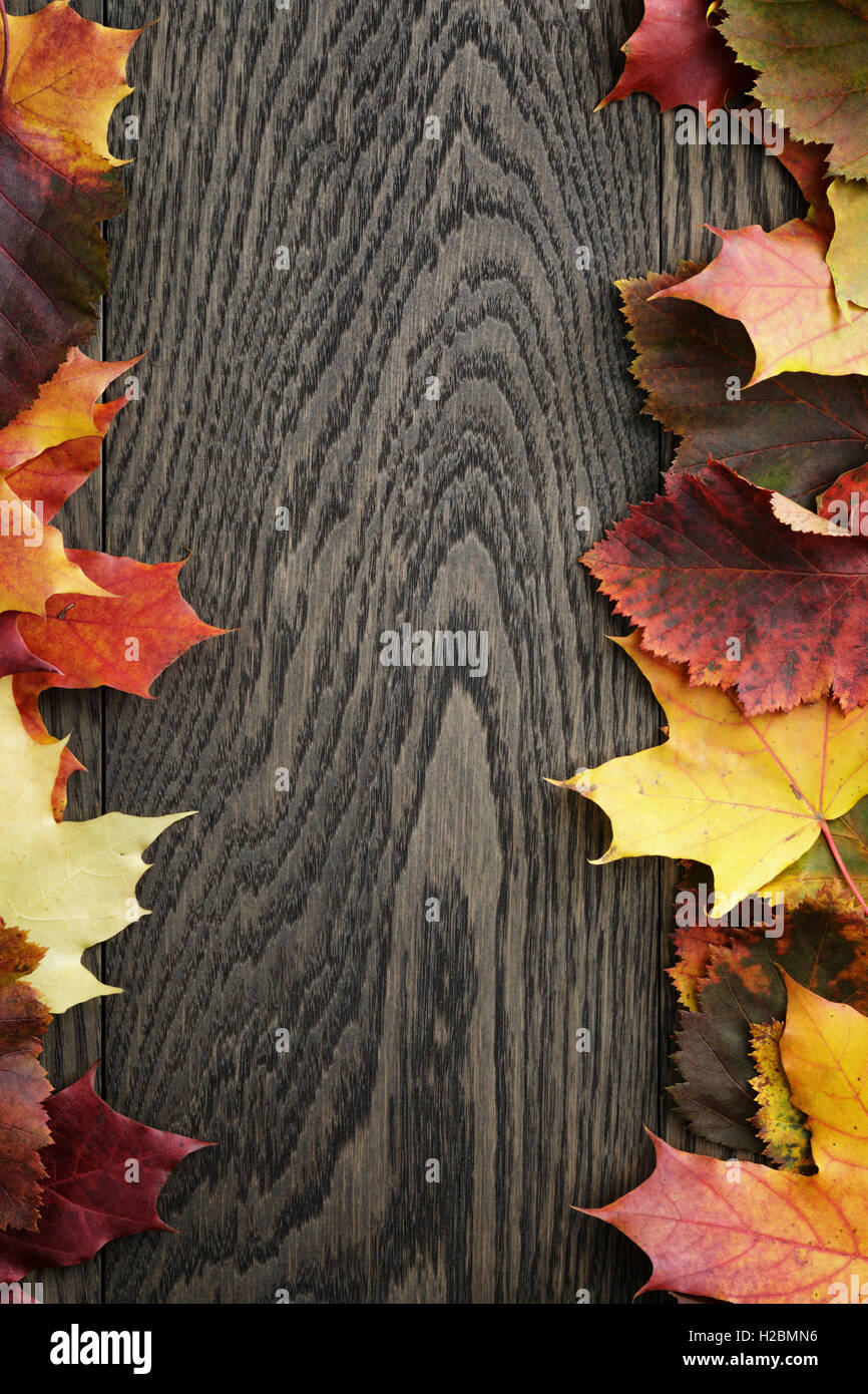 maple fall leaves on oak table border photo Stock Photo - Alamy