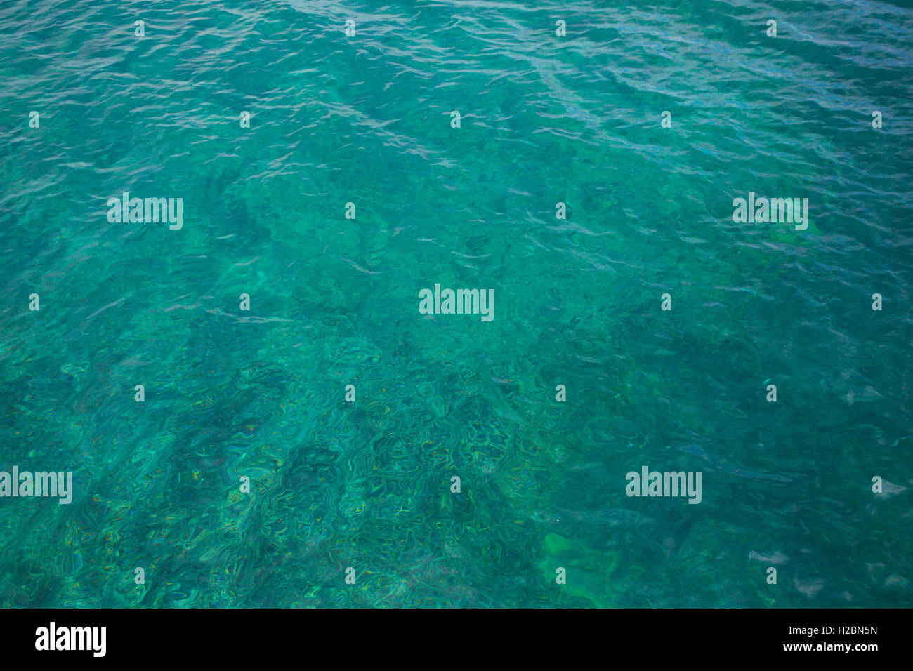 The green sea hi-res stock photography and images - Alamy