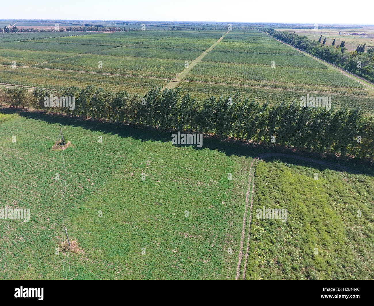 The Forest among fields. view from above Stock Photo - Alamy
