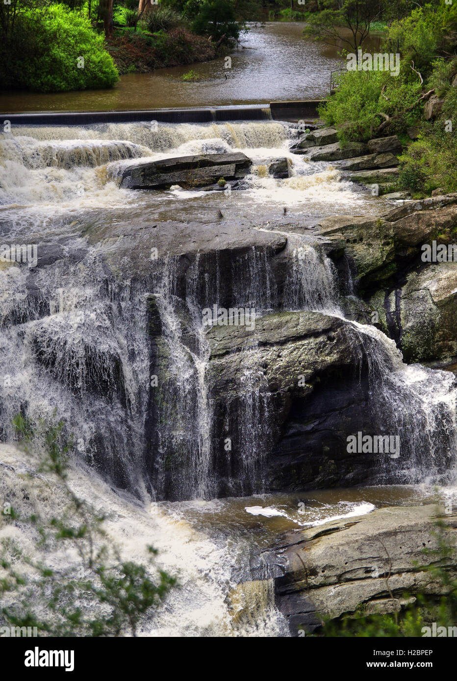 waterfalls in Victoria.Australia Stock Photo - Alamy
