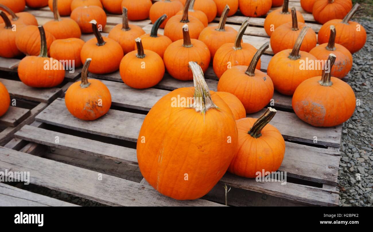 Round bulk hi-res stock photography and images - Alamy