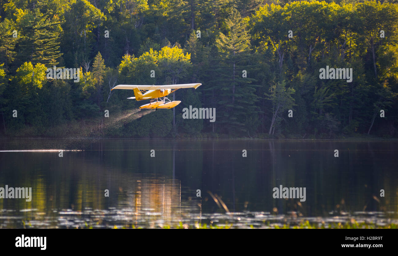 Yellow airplane hi-res stock photography and images - Alamy