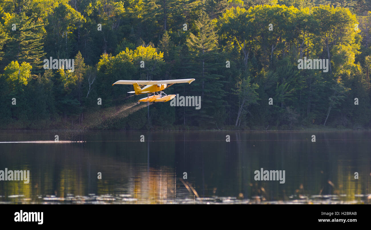 Flying yellow airplane hi-res stock photography and images - Alamy