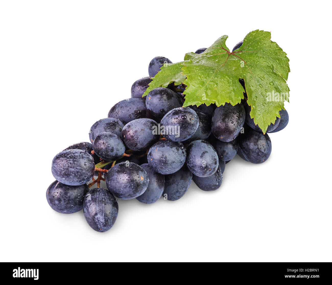 Black seedless grape hi-res stock photography and images - Alamy